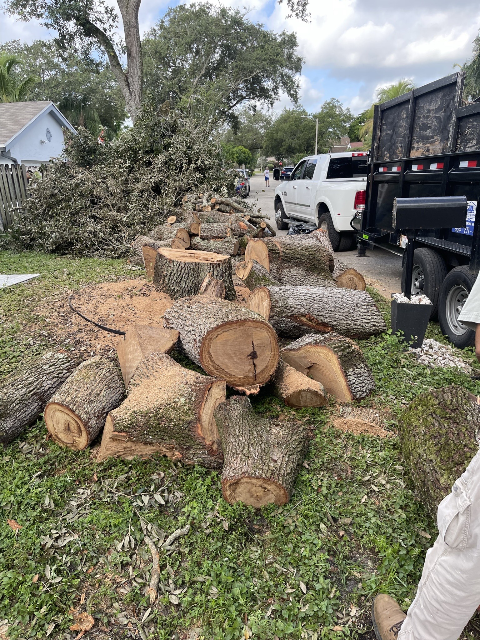 Top-Rated Junk Removal Services | Florida Strong Hauling